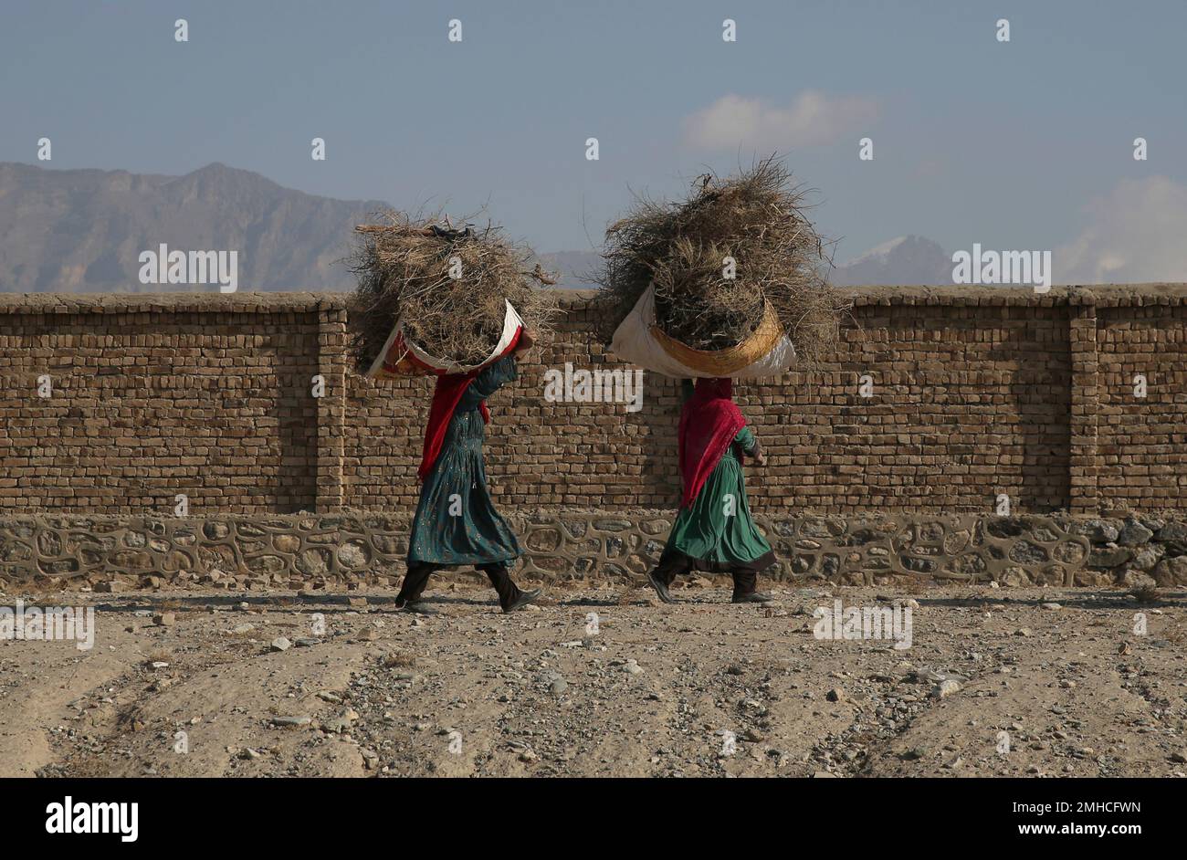 Women carry sacks of firewood on their heads in the Bagram road in ...