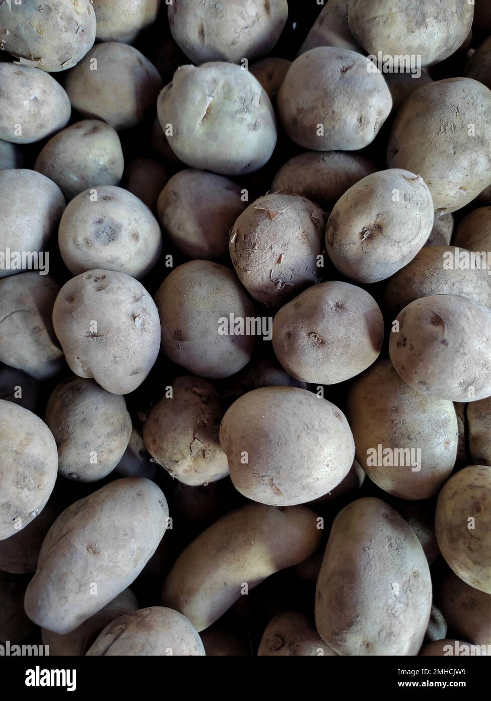 Fresh potatoes in the market. Texture vegetable fresh potato Stock ...