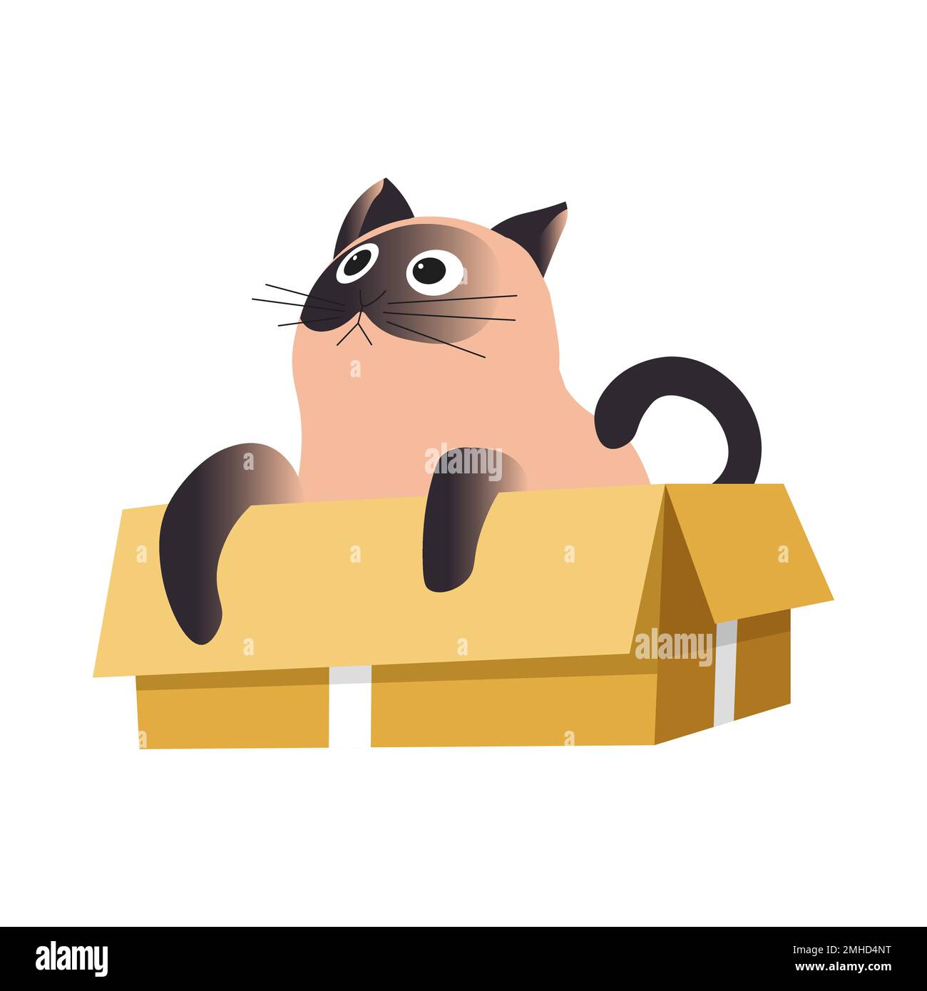 Kitten studio play Stock Vector Images - Alamy