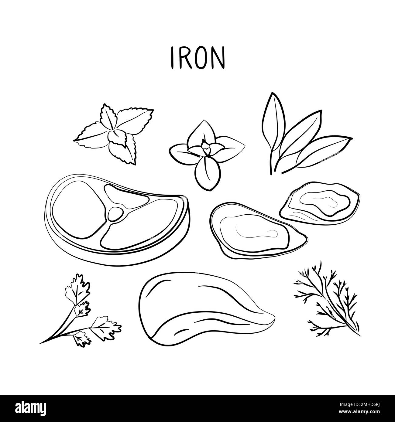 Iron-containing food. Groups of healthy products containing vitamins ...