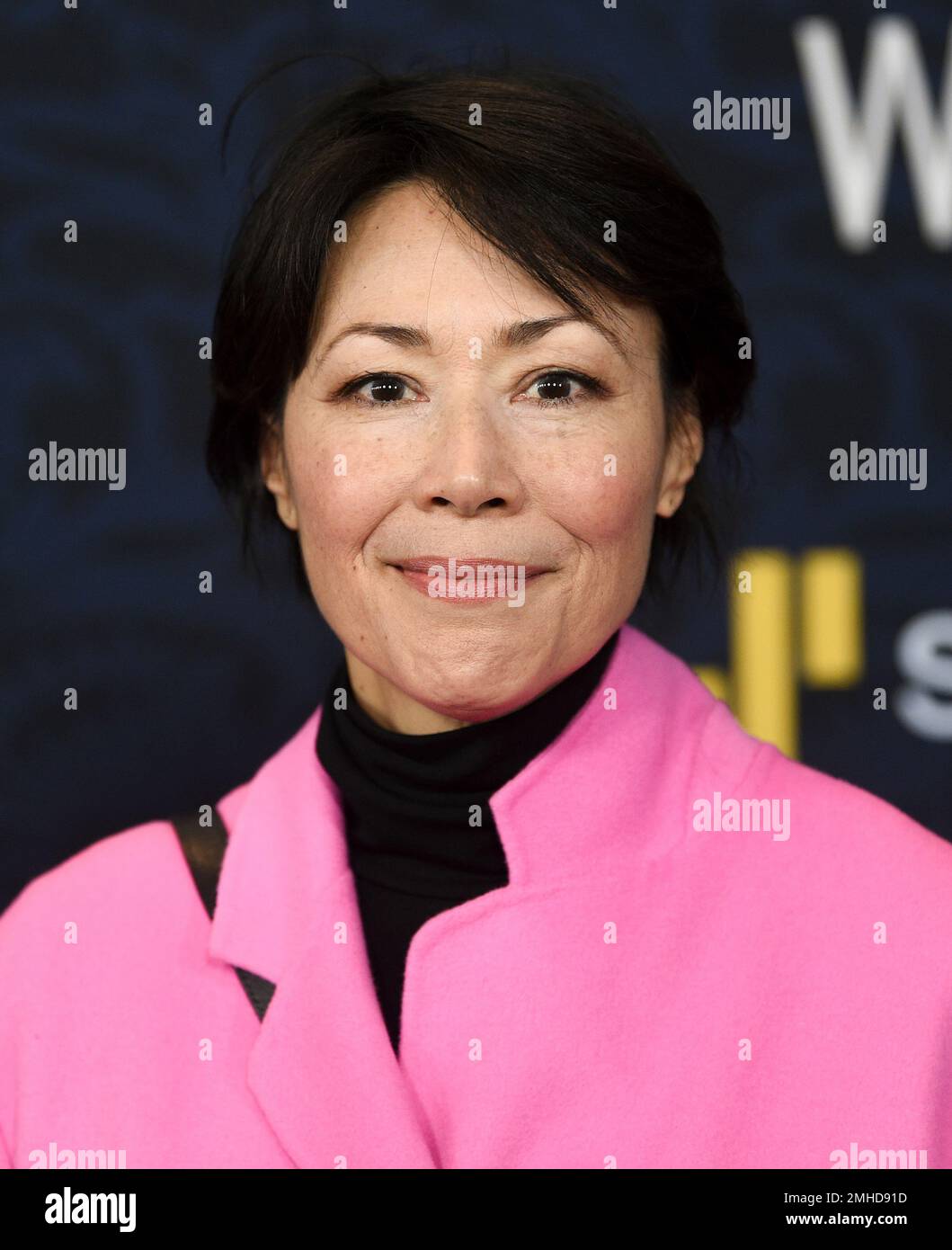Television journalist Ann Curry attends the premiere of "Little Women ...