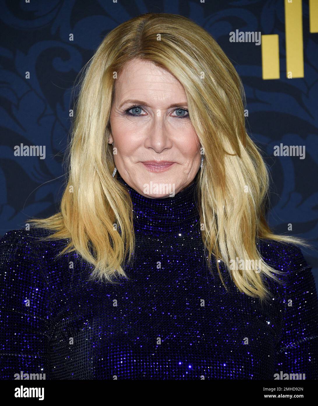 Actress Laura Dern attends the premiere of "Little Women" at the Museum ...
