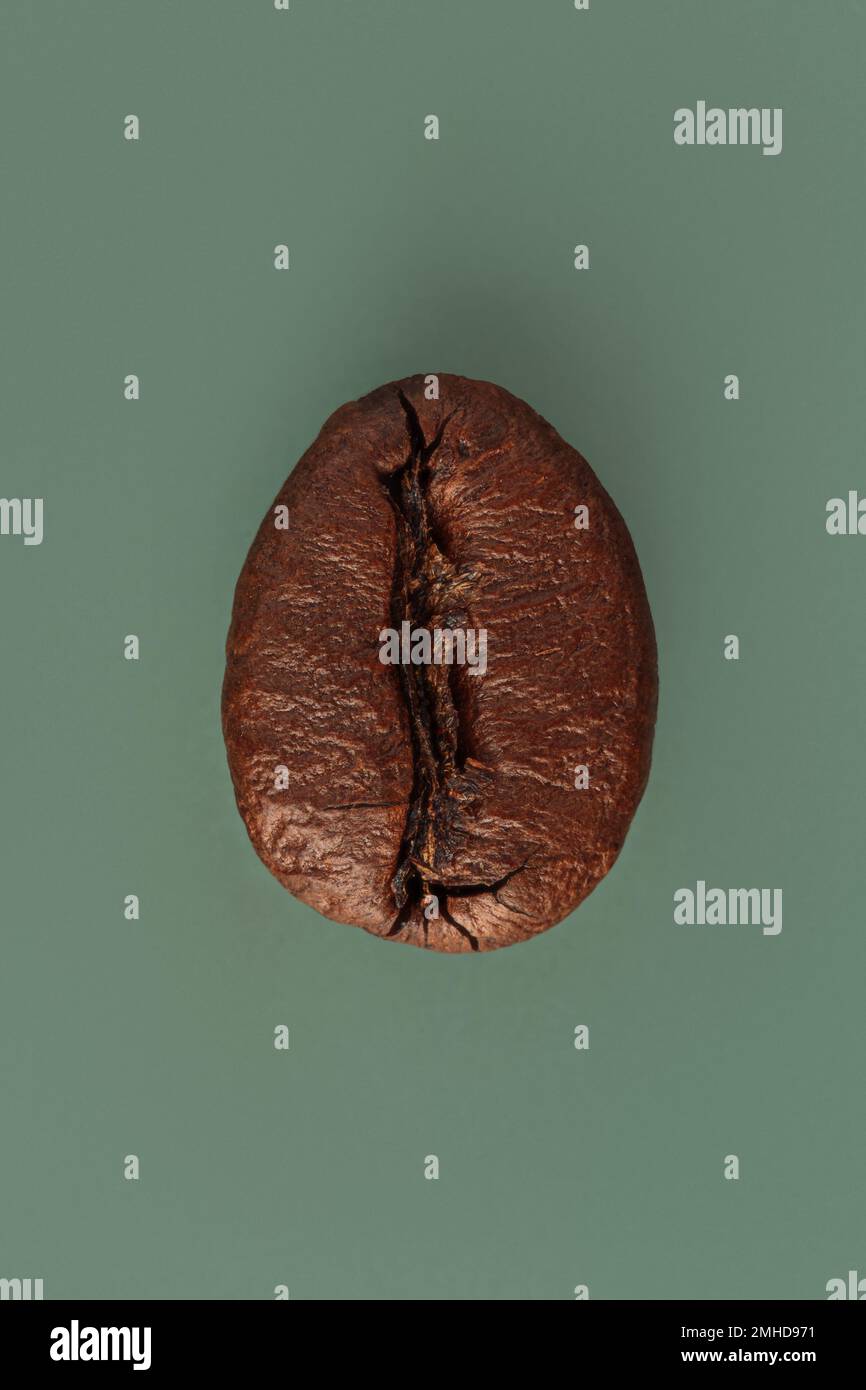 Macro photography of brown coffee bean on green background Stock Photo ...