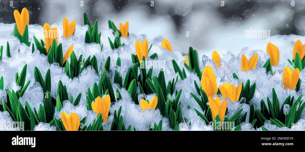 Flower border panorama hi-res stock photography and images - Alamy