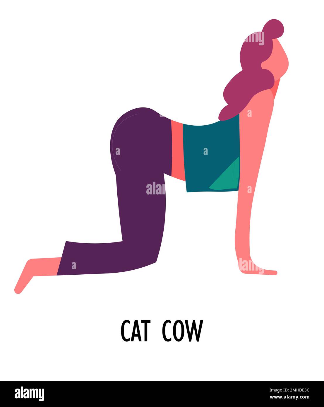 Cat cow yoga asana, sport and fitness, girl stretching Stock Vector ...