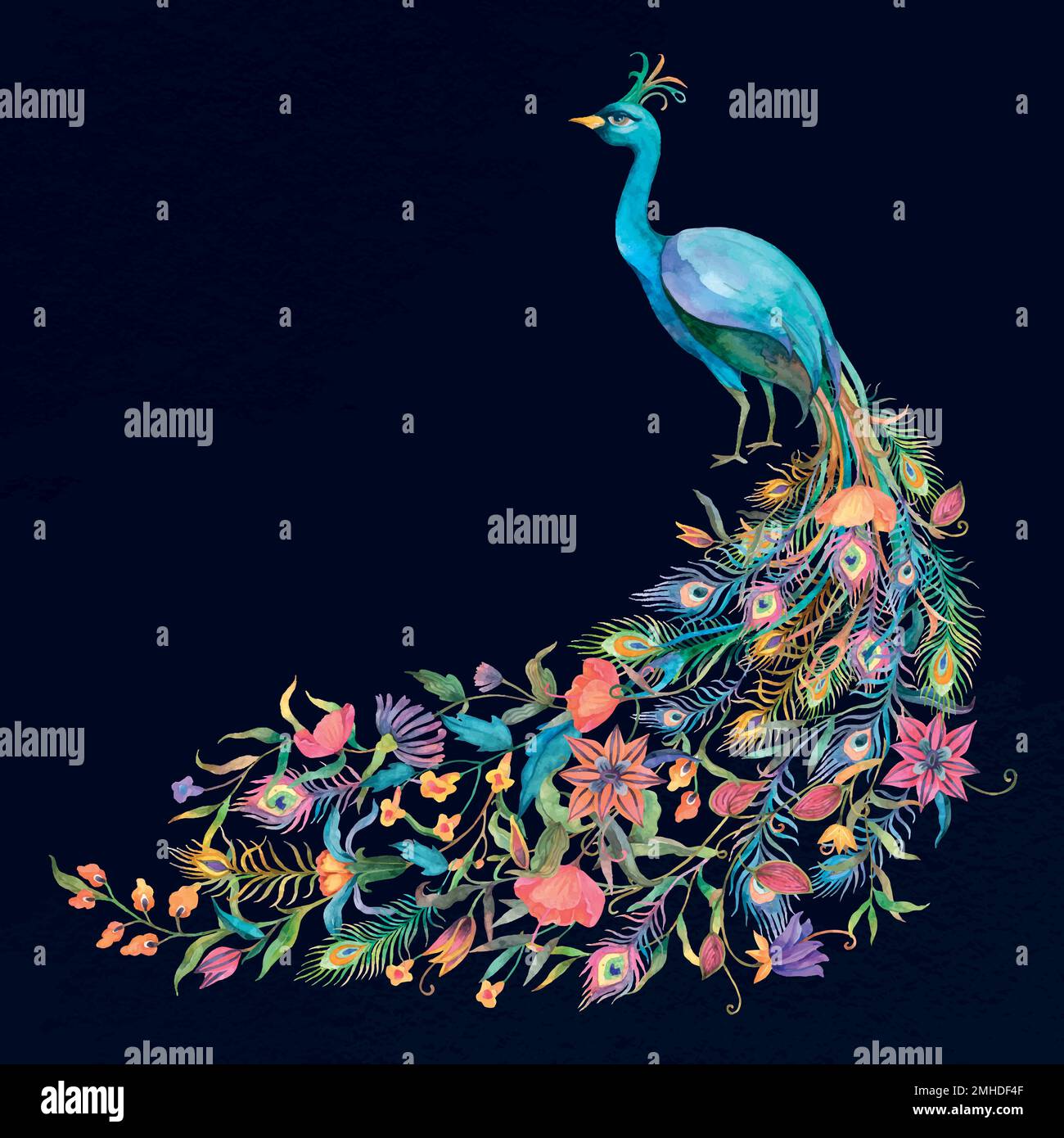 Beautiful watercolor blue peacock vector Stock Vector Image & Art - Alamy