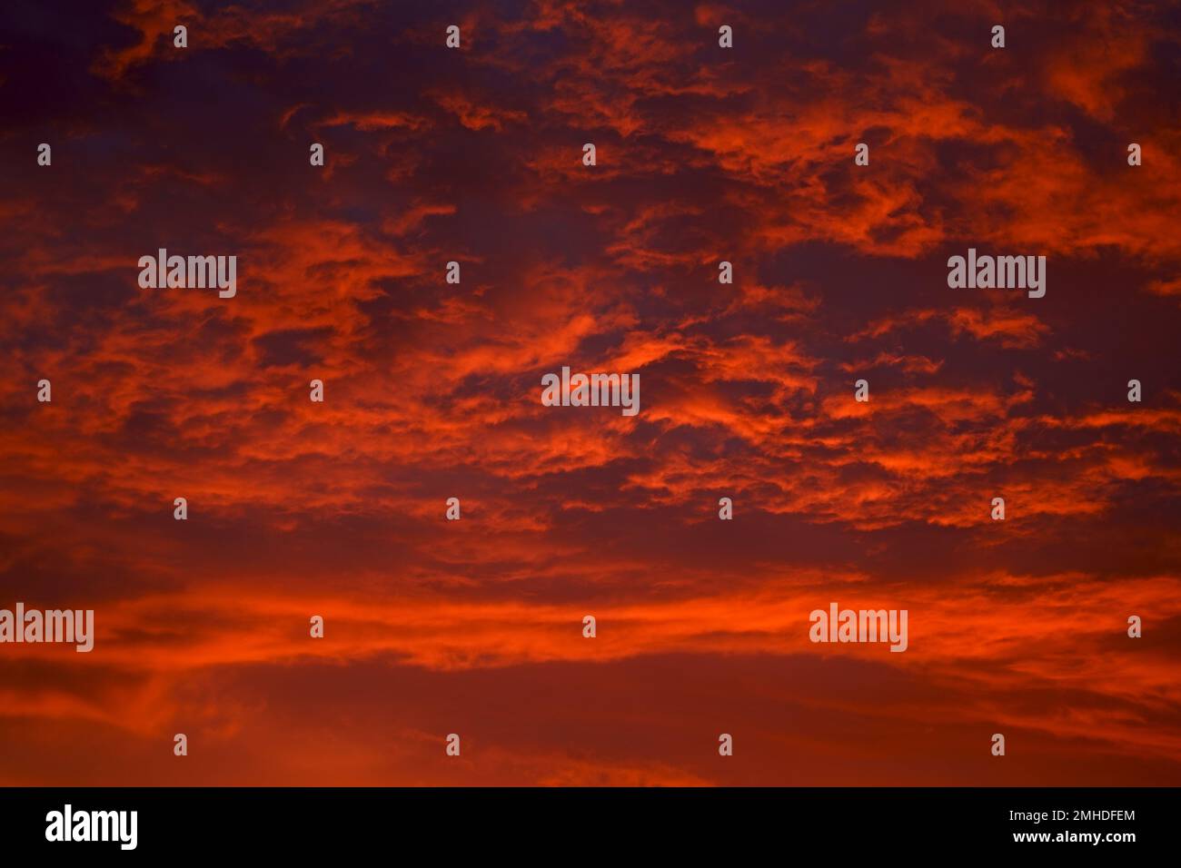 Amazing summer sunrise background. Beautiful blazing sunset Stock Photo ...