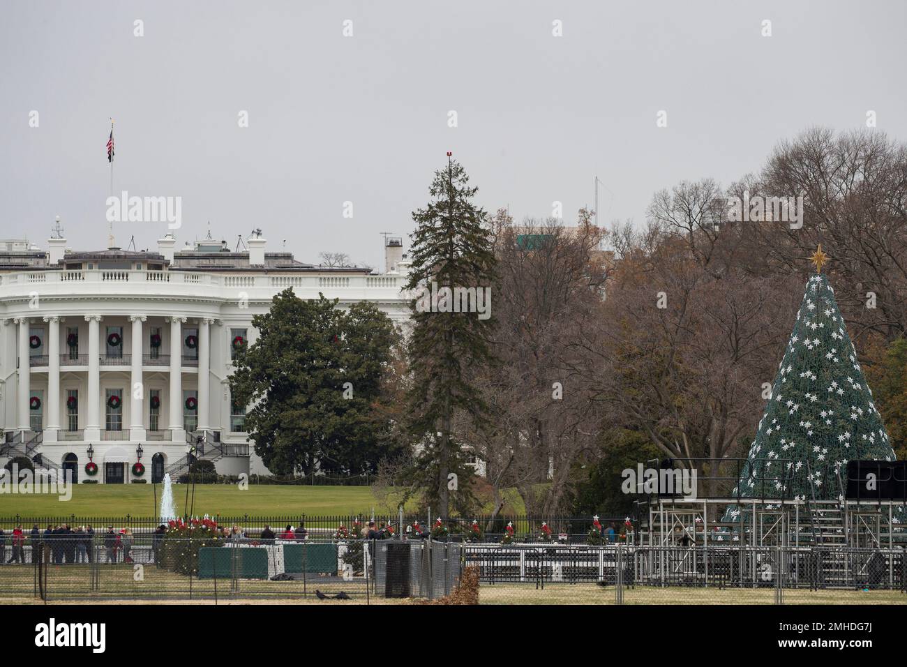 The National Christmas Tree is decorated on the Ellipse with the White ...
