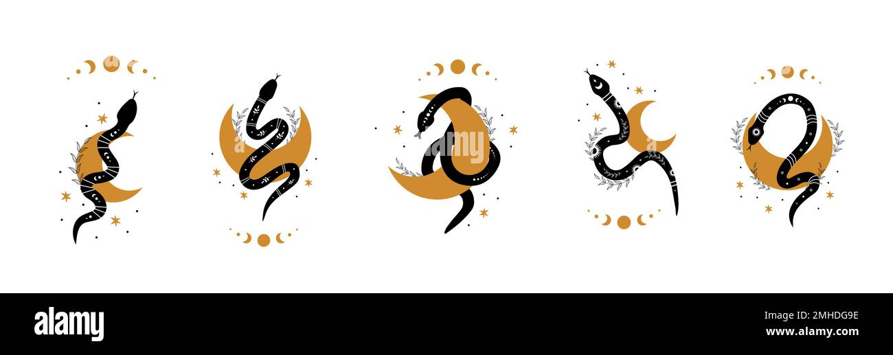 Set of magic snakes in boho style with moon. Mystical symbols in a ...