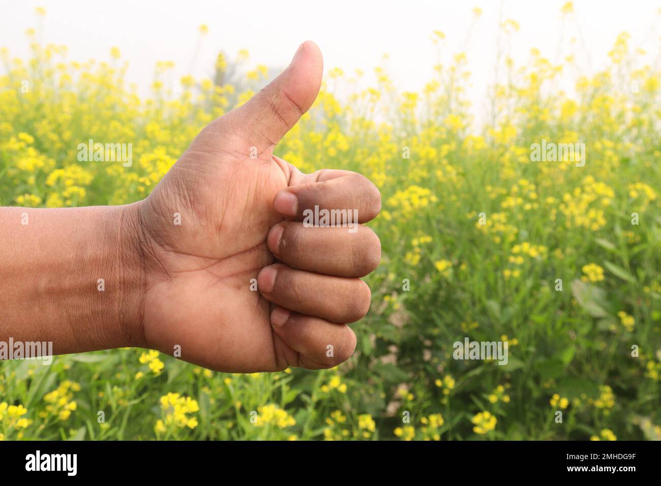 Deaf farmer hi-res stock photography and images - Alamy