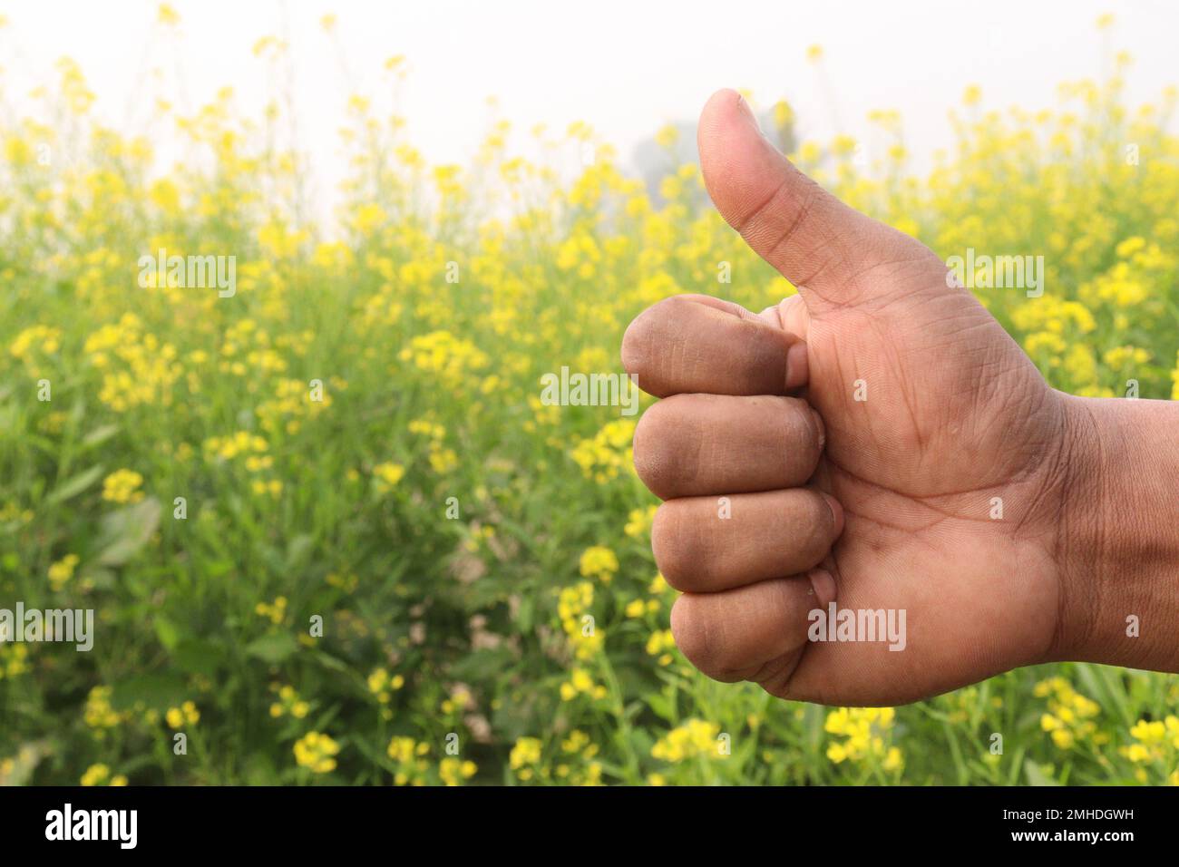 Deaf farmer hi-res stock photography and images - Alamy