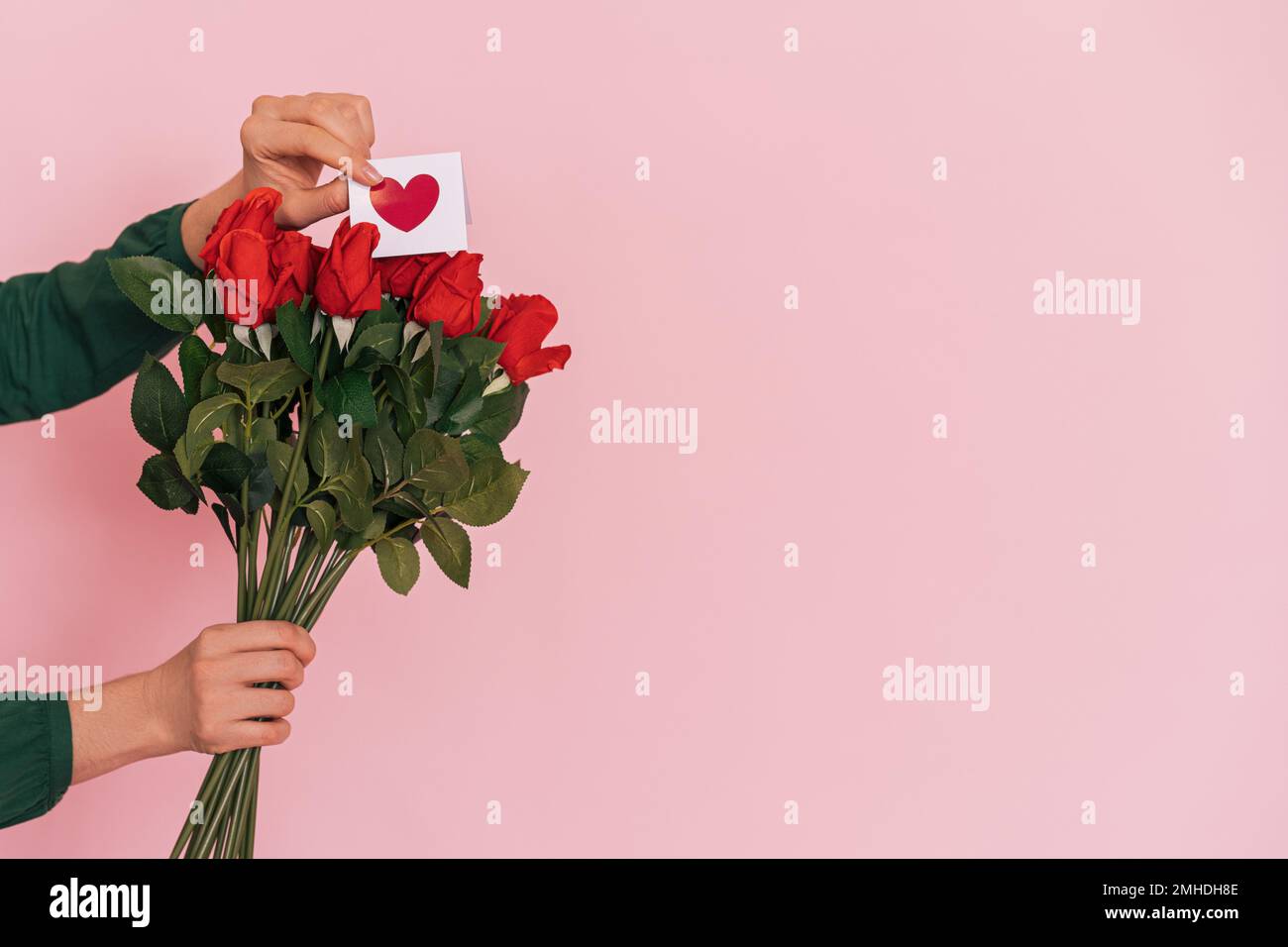 Female hand with bouquet of red roses against pink background Stock ...