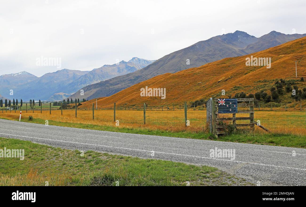 New Zealand pasture Stock Photo - Alamy