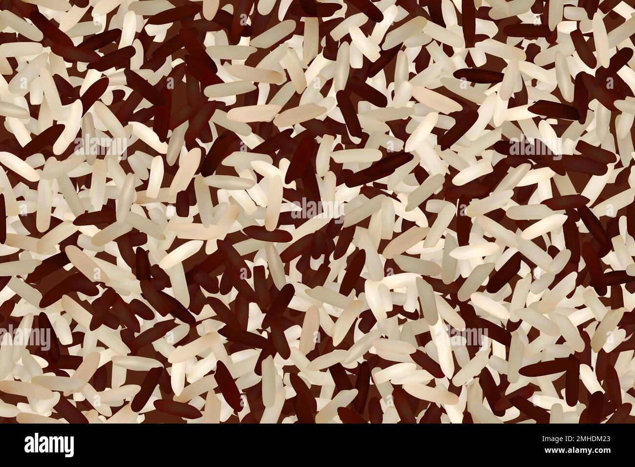 Uncooked basmati and wild rice seamless pattern Stock Vector Image ...