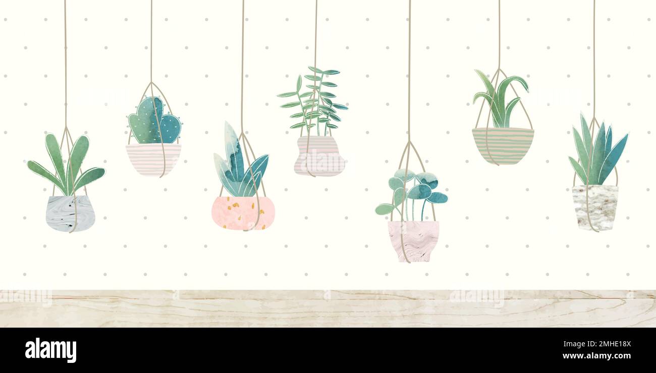 Hanging cactus hi-res stock photography and images - Alamy