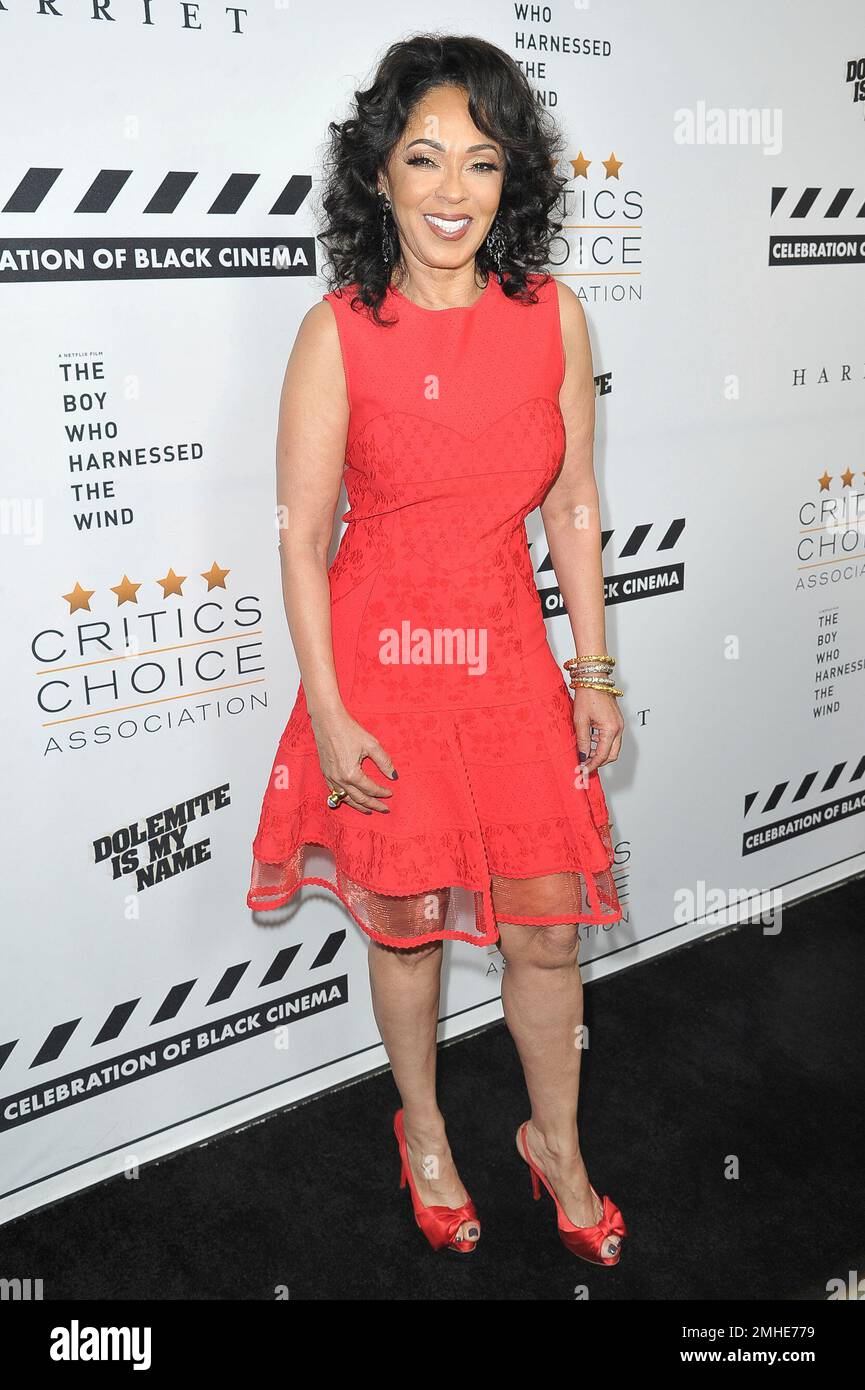 Debra Martin Chase attends the Celebration of Black Cinema at the ...