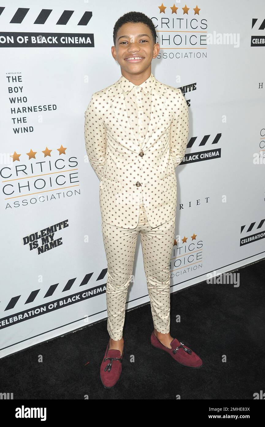 Lonnie Chavis attends the Celebration of Black Cinema at the Landmark ...