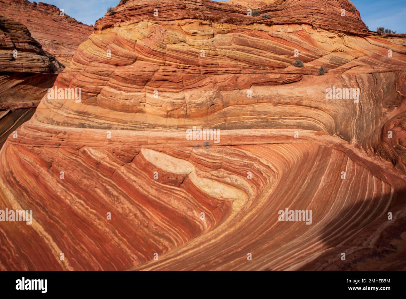 The Wave is a stunning geological formation in the Paria Canyon ...