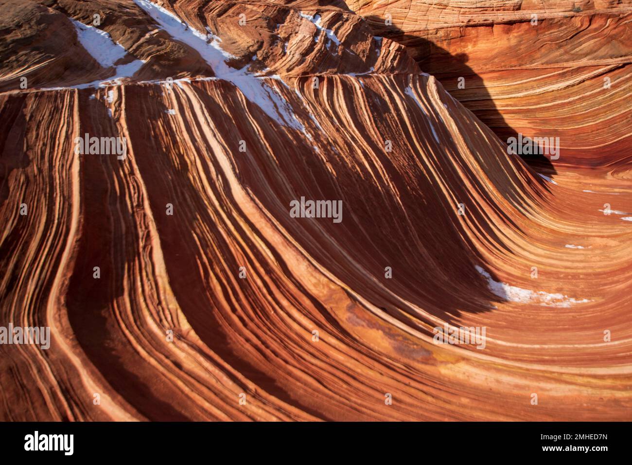 The Wave is a stunning geological formation in the Paria Canyon ...