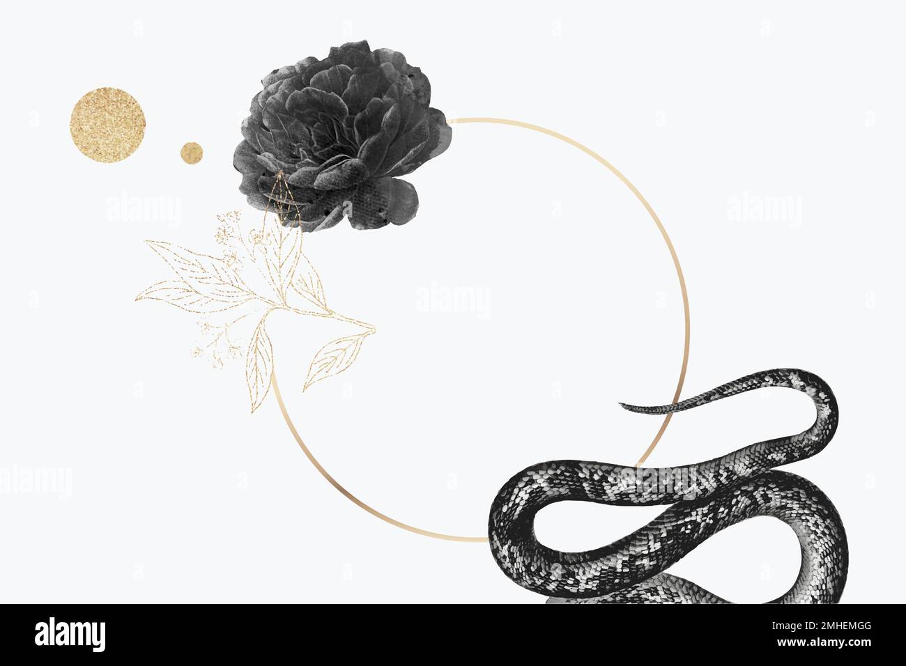 Blank golden frame with a snake vector Stock Vector Image & Art - Alamy