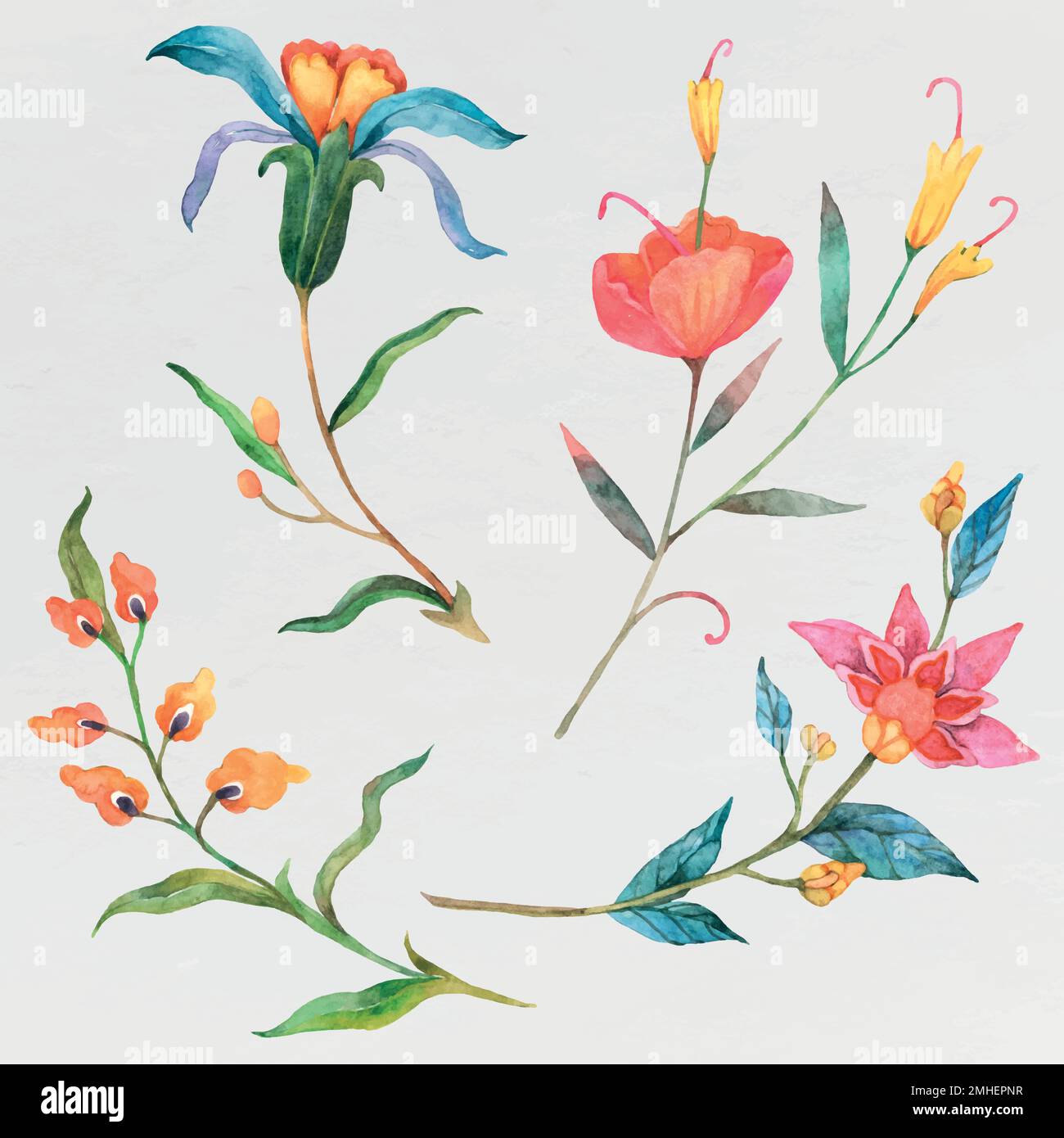 Colorful watercolor flowers vector set Stock Vector Image & Art - Alamy