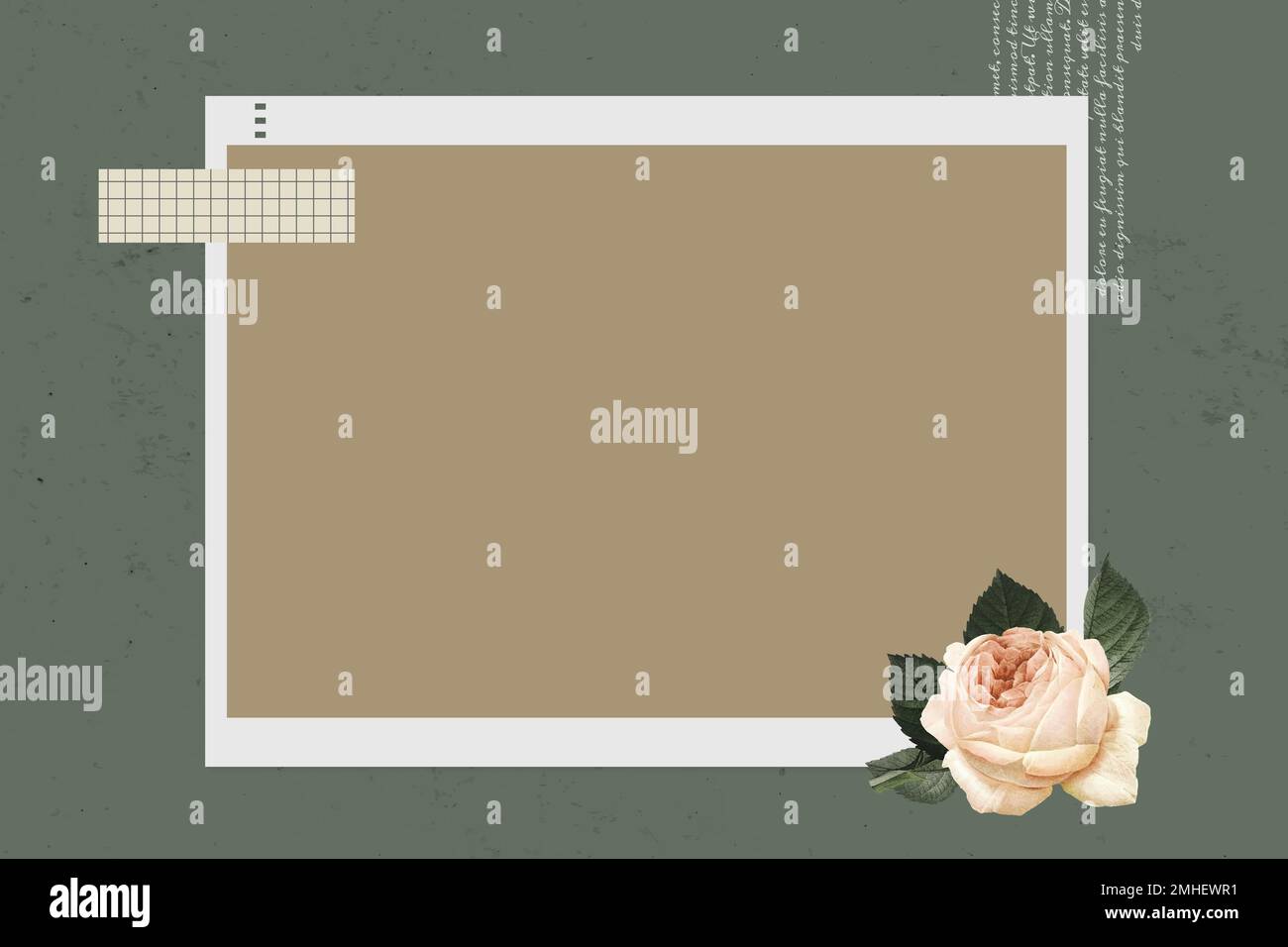 Blank collage photo frame template on green background vector Stock ...