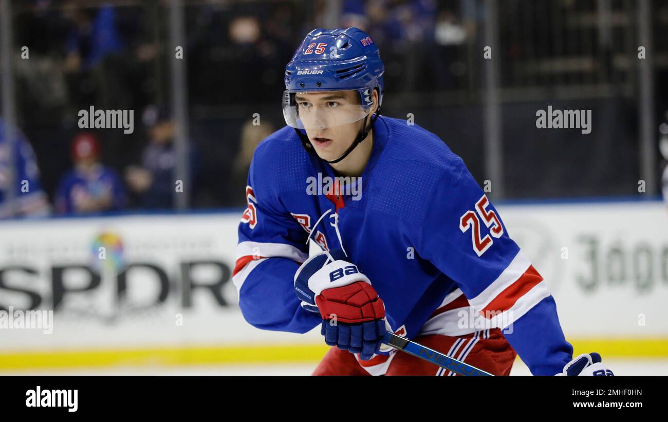 New York Rangers' Libor Hajek during the first period of an NHL hockey ...