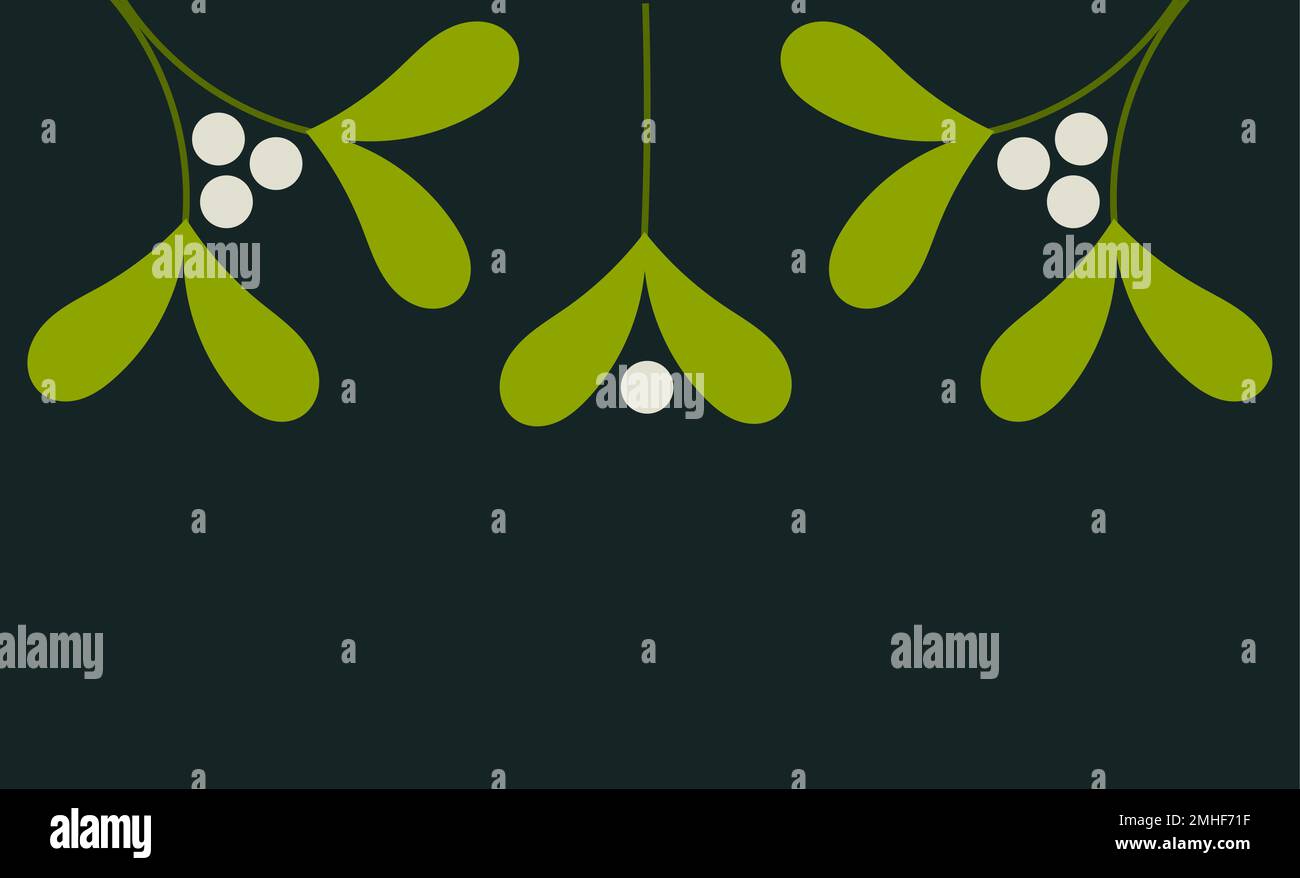 Mistletoe hanging leaves and fruits Christmas dark border background ...