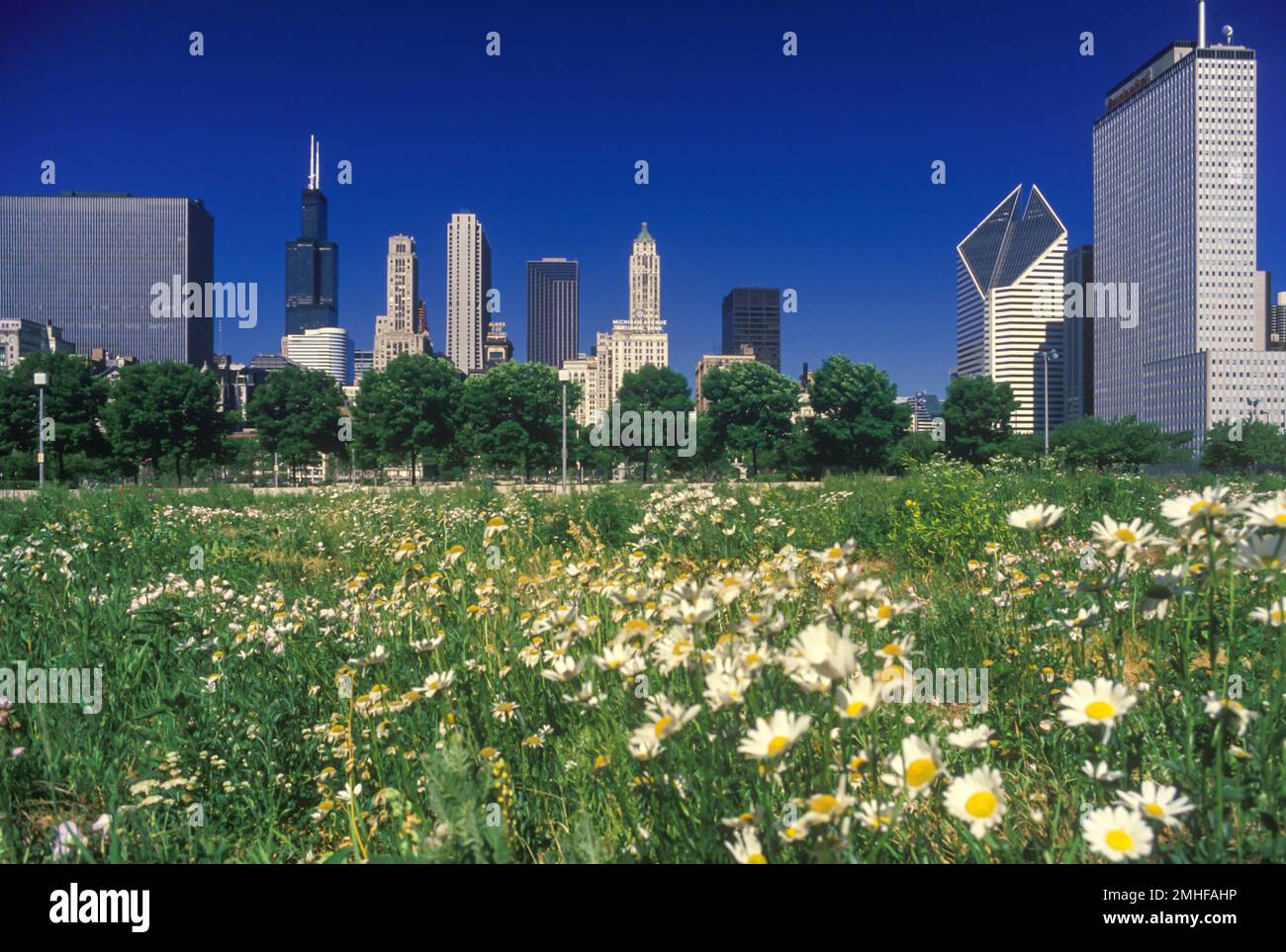 1990 HISTORICAL GRANT PARK WILDERNESS RESERVE SKYLINE CHICAGO ILLINOIS ...