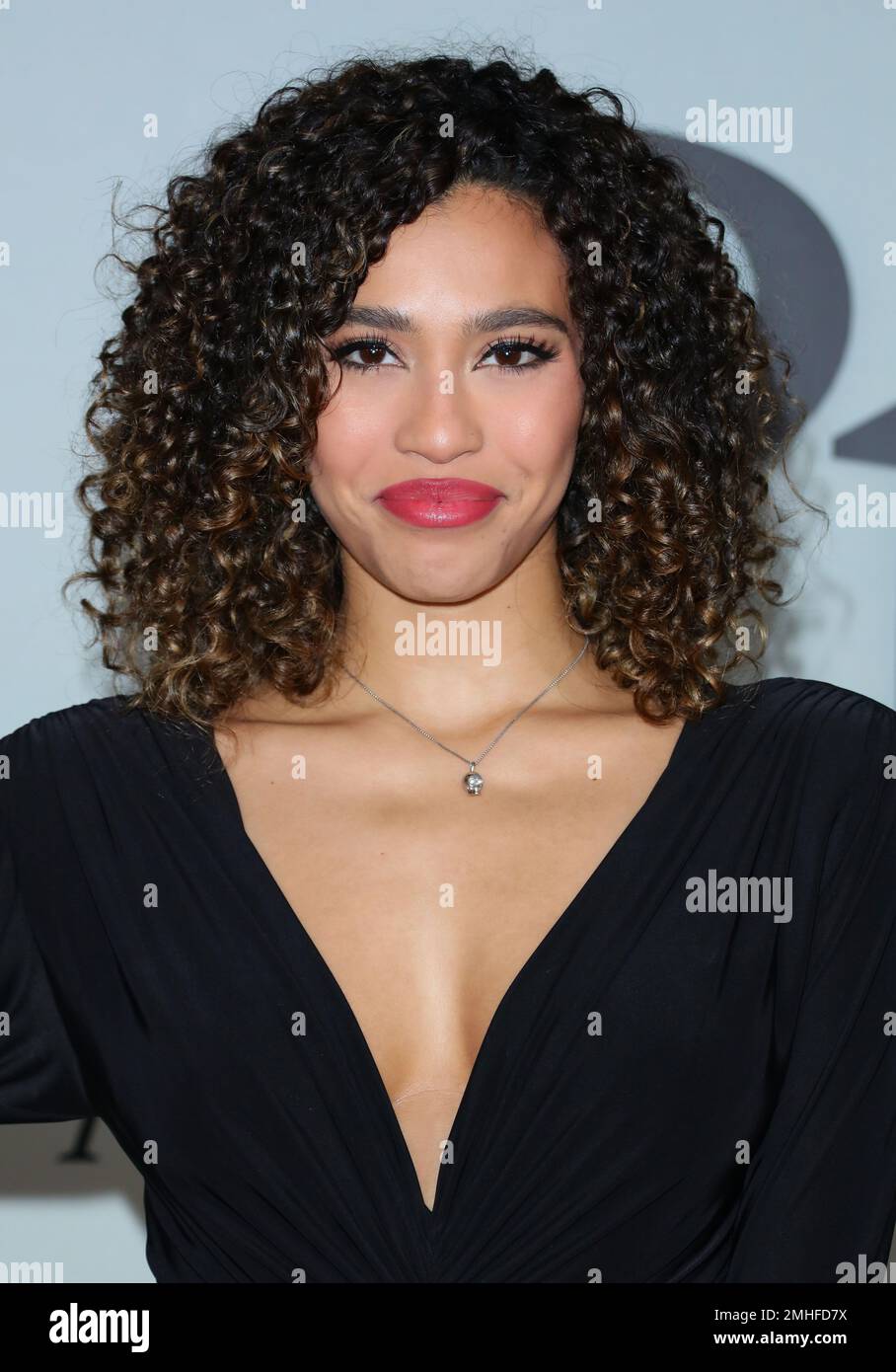 Los Angeles, USA. 26th Jan, 2023. Kara Royster arrives at The 1619 ...