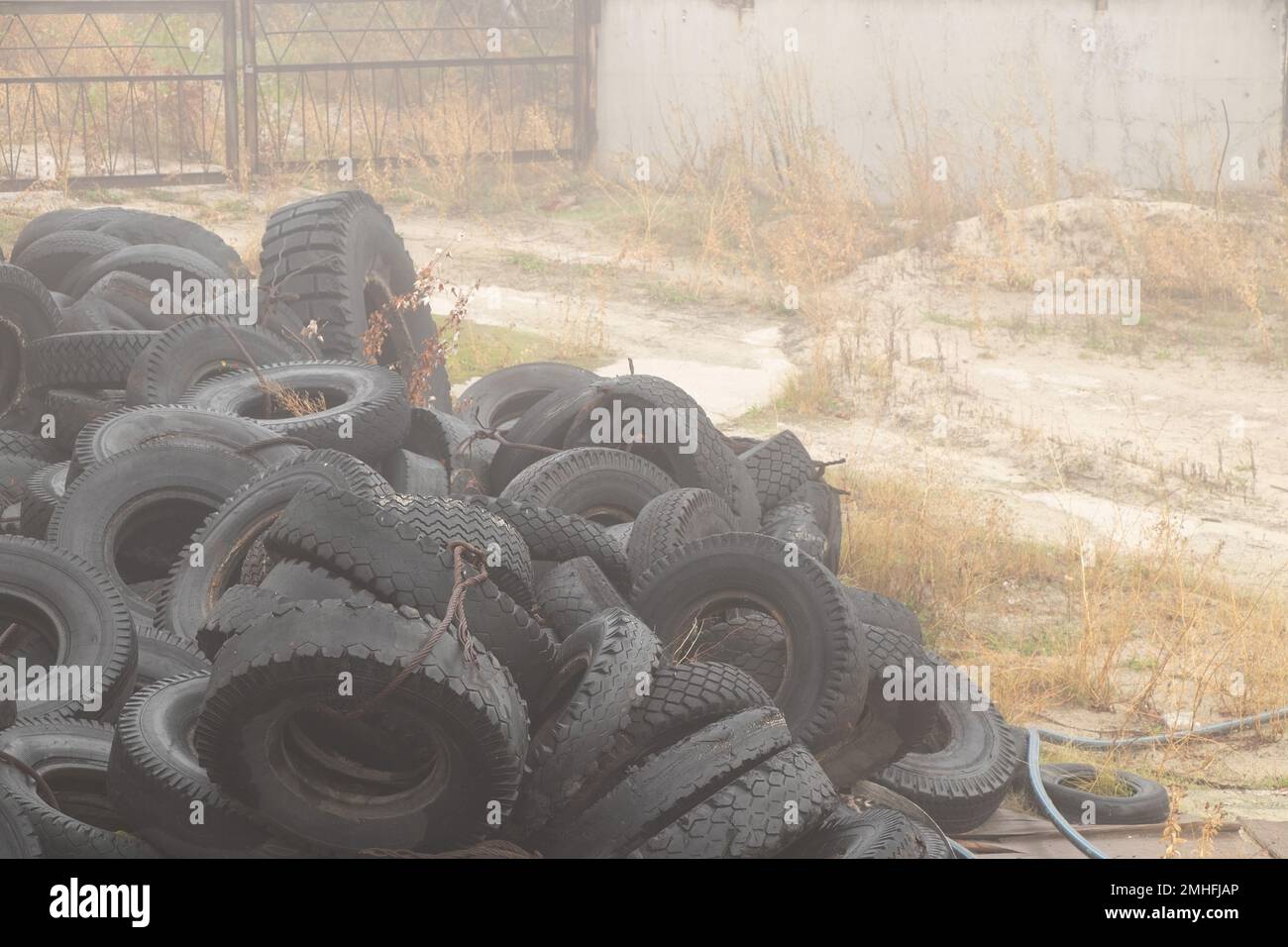 old used tires lie on the ground in a landfill in ukraine, an ...