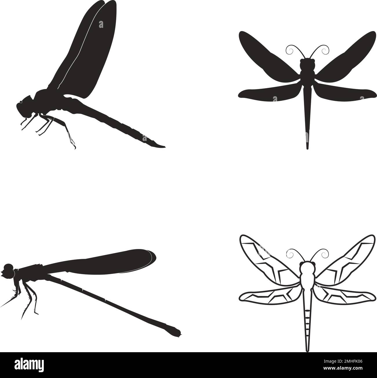 Dragonfly Vector