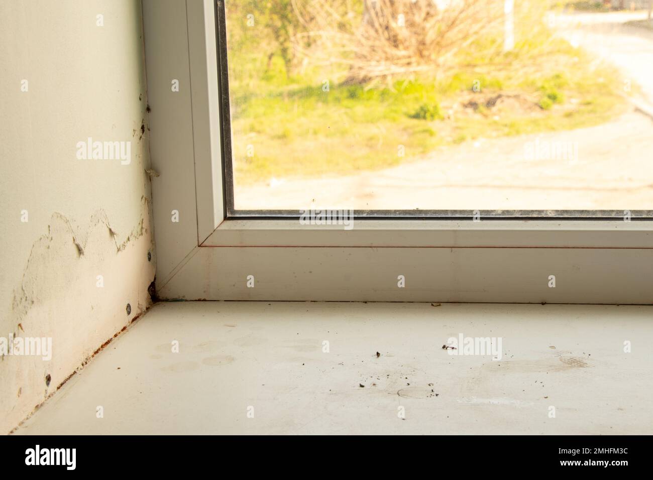 view of a window with a protruding fungus Stock Photo - Alamy