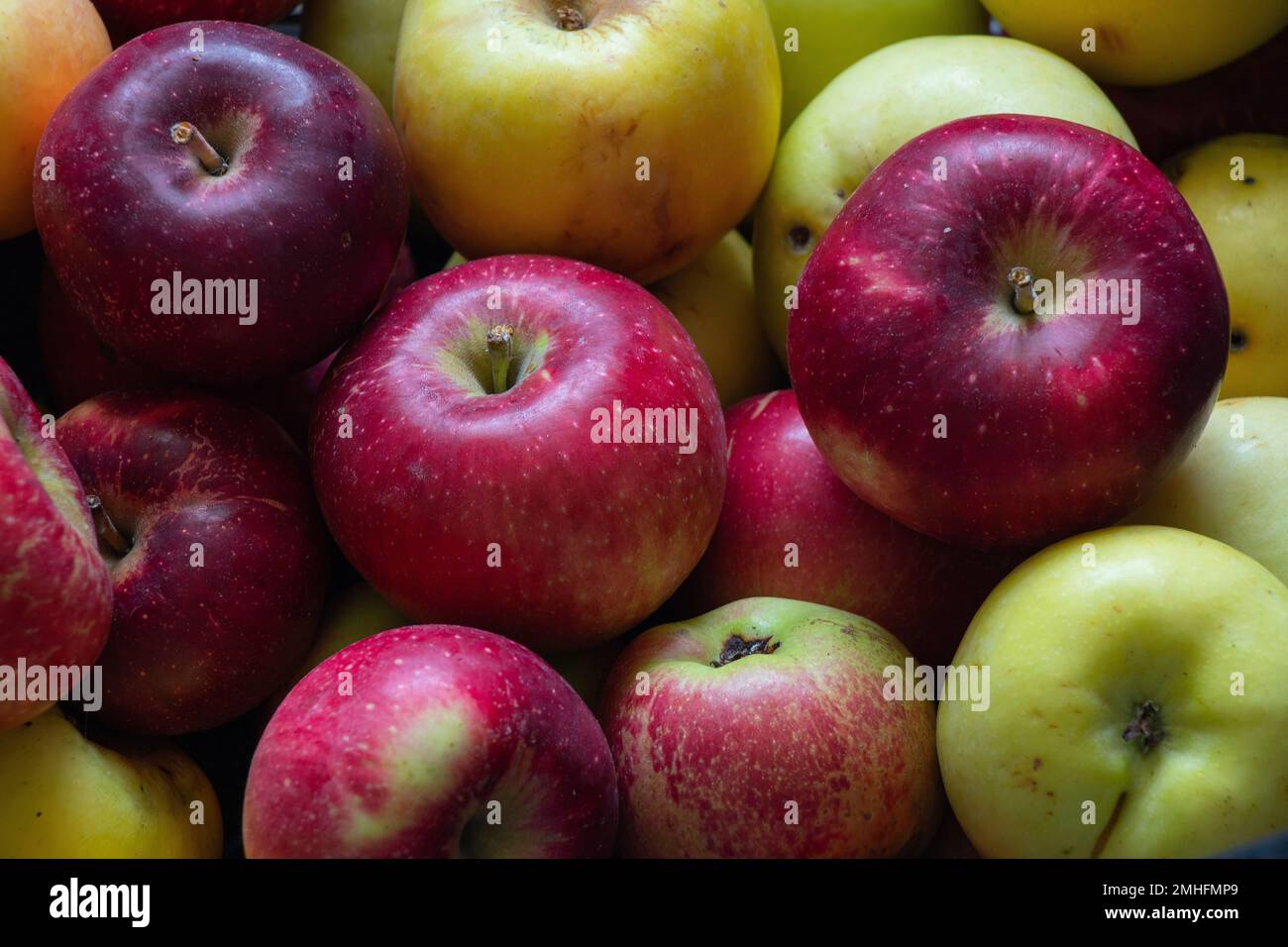 many apples yellow and red as background, fruit background Stock Photo ...