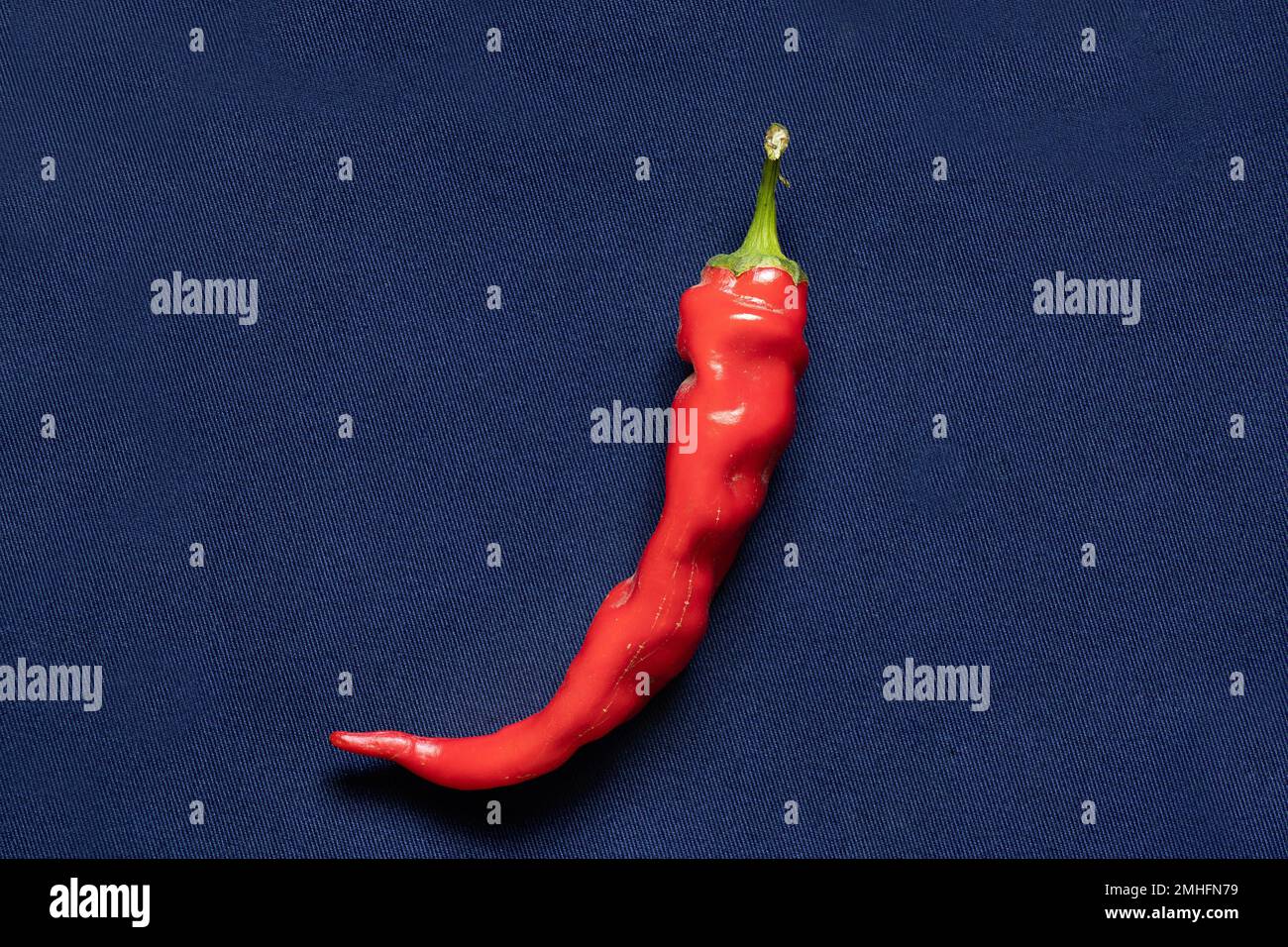 one red hot chili pepper on colored paper background Stock Photo - Alamy