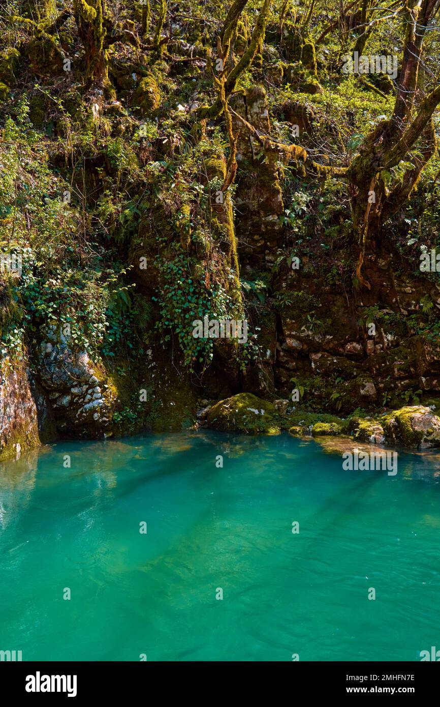 The natural pool of the mountain river with emerald clear water Stock ...