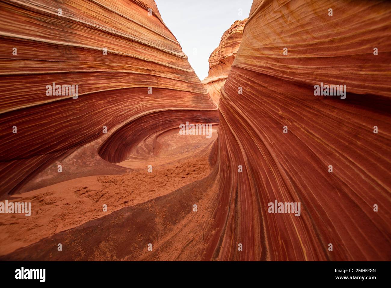 The Wave is a stunning geological formation in the Paria Canyon ...