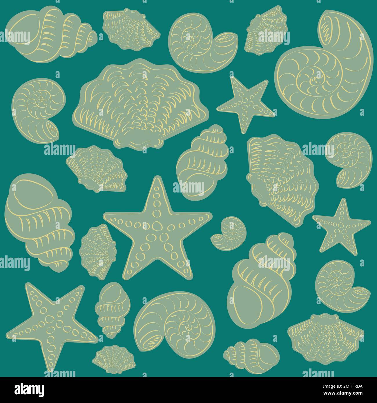 Pattern with hand drawing sea creatures shells and starfish in outline ...