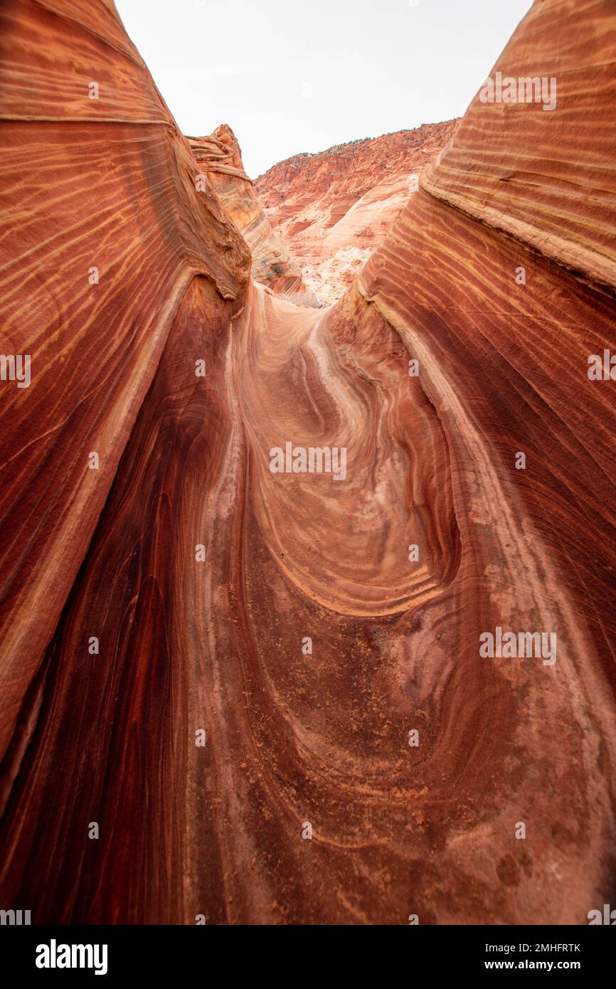 The Wave is a stunning geological formation in the Paria Canyon ...