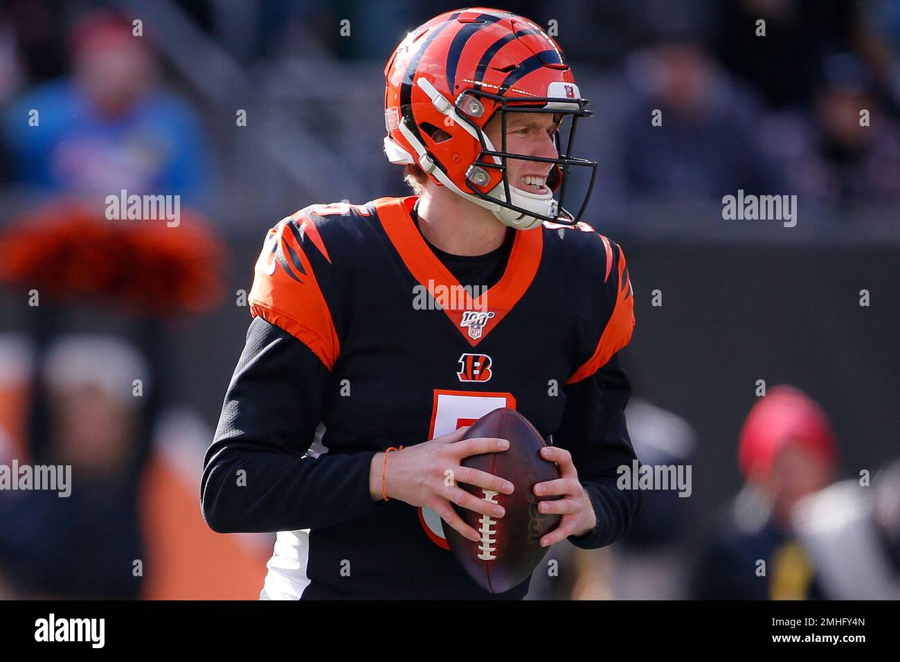 Cincinnati Bengals quarterback Ryan Finley looks to pass during the ...