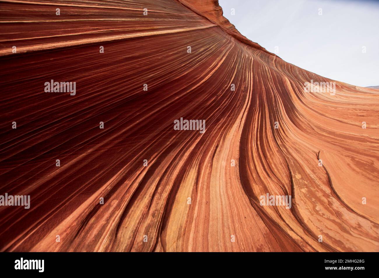 The Wave is a stunning geological formation in the Paria Canyon ...