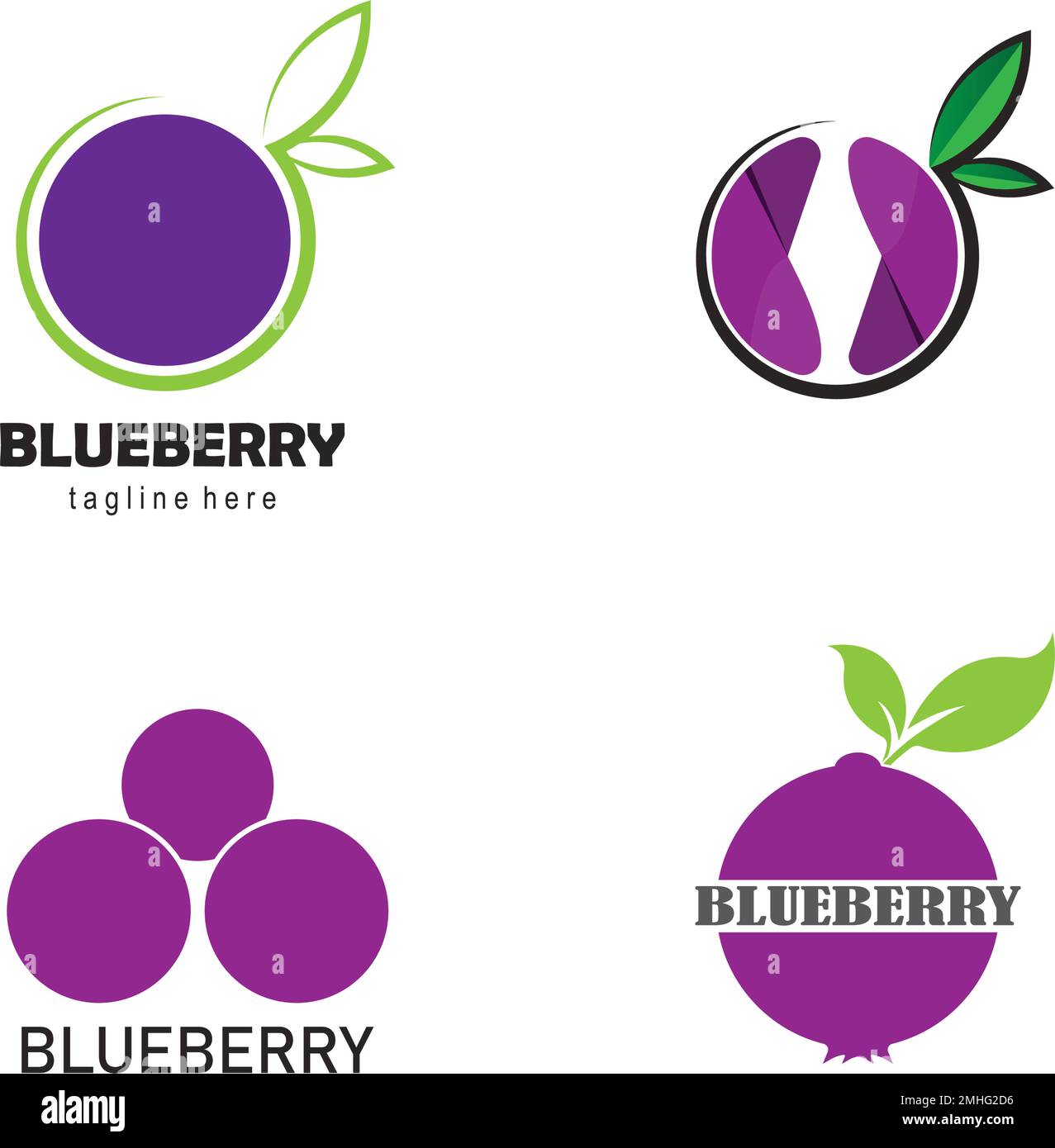 blueberry logo.vector illustration template design Stock Vector Image ...