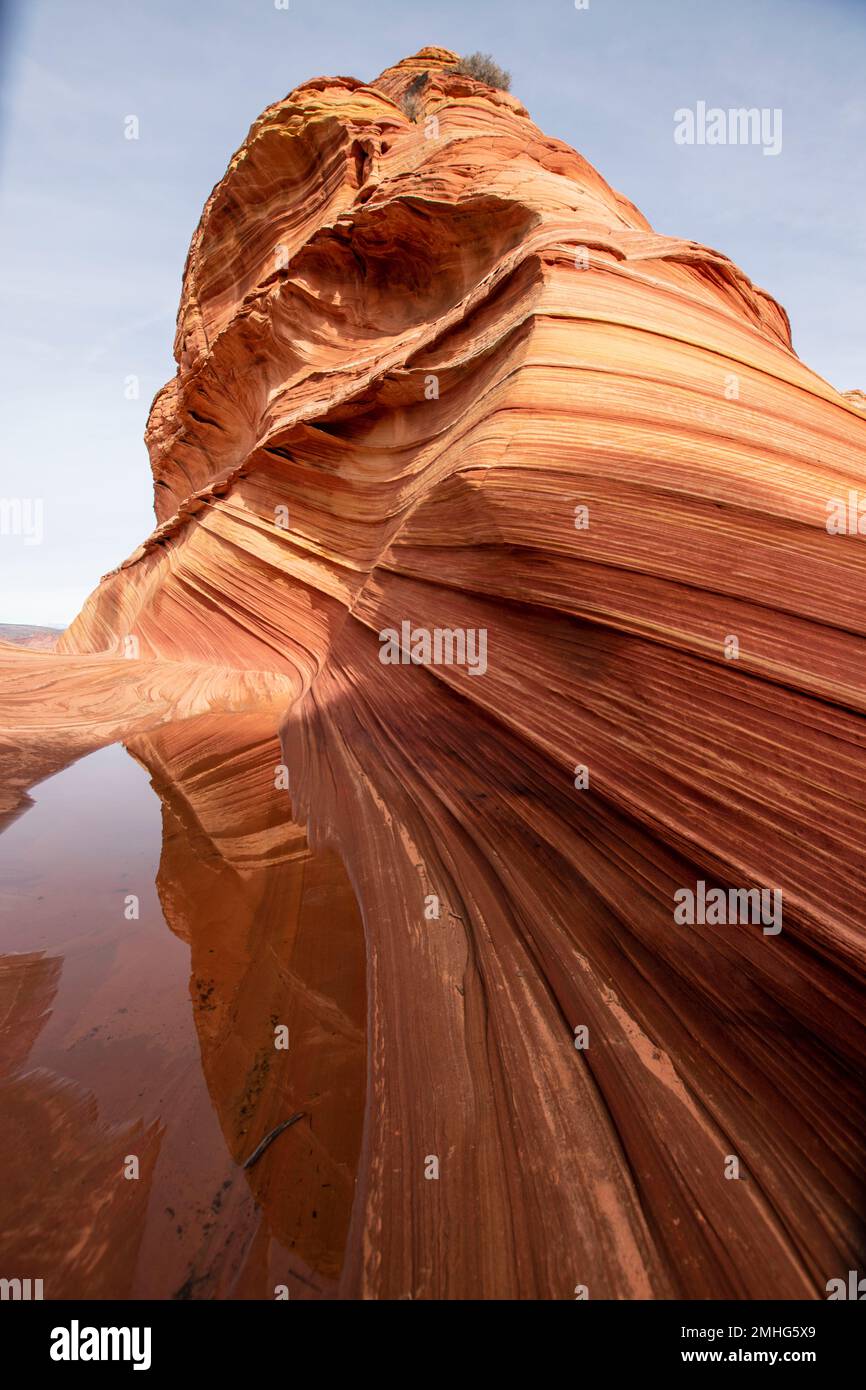 The Wave is a stunning geological formation in the Paria Canyon ...