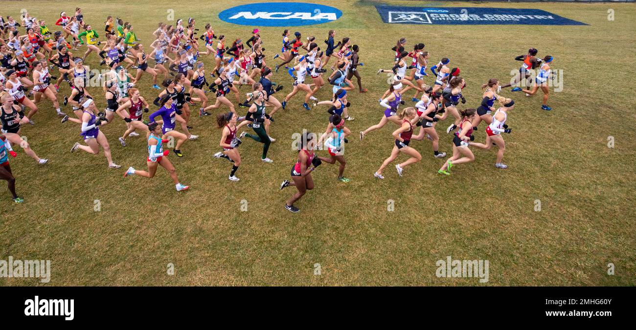 The field of runners competing in the women's NCAA Division I Cross ...