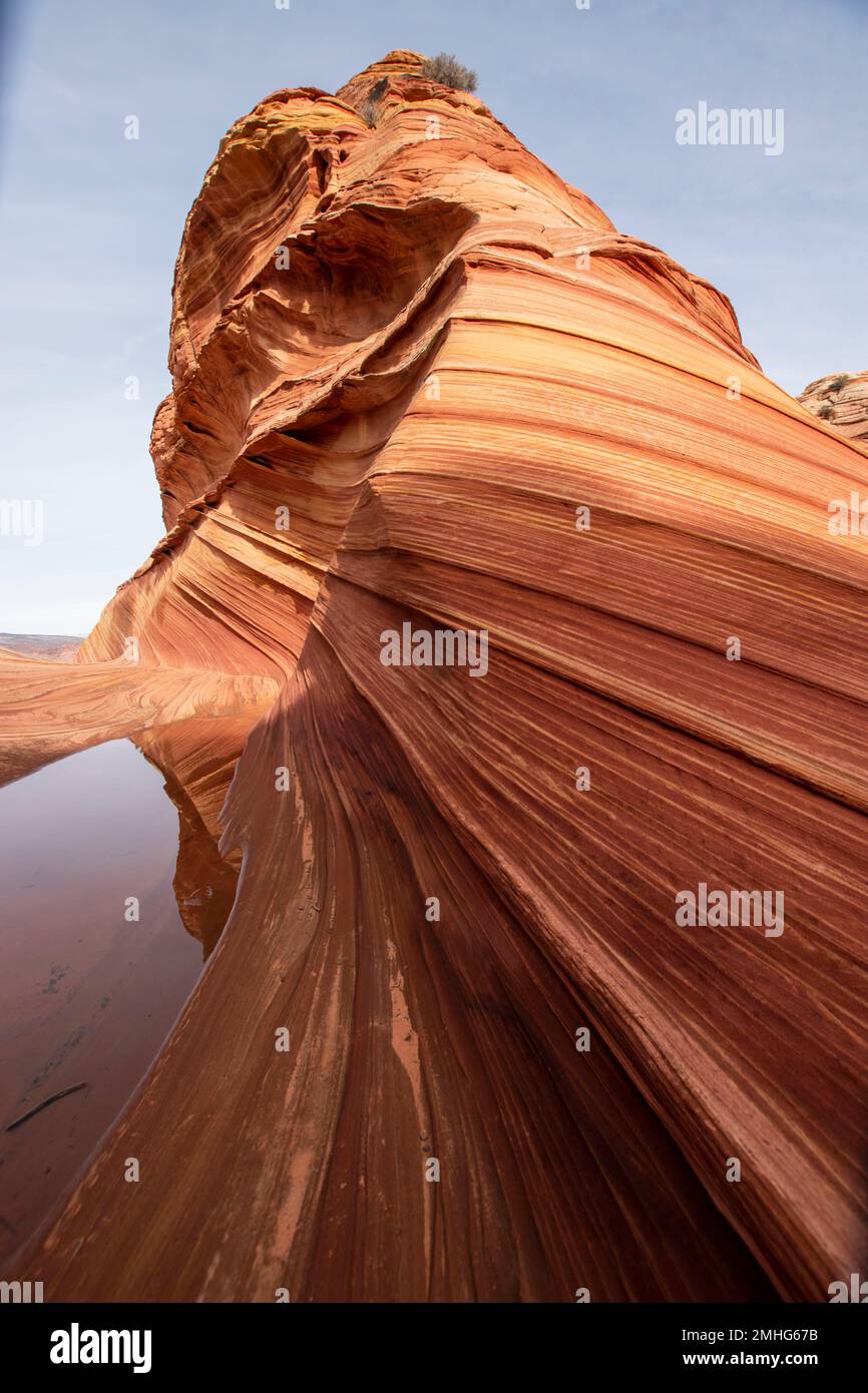 The Wave is a stunning geological formation in the Paria Canyon ...