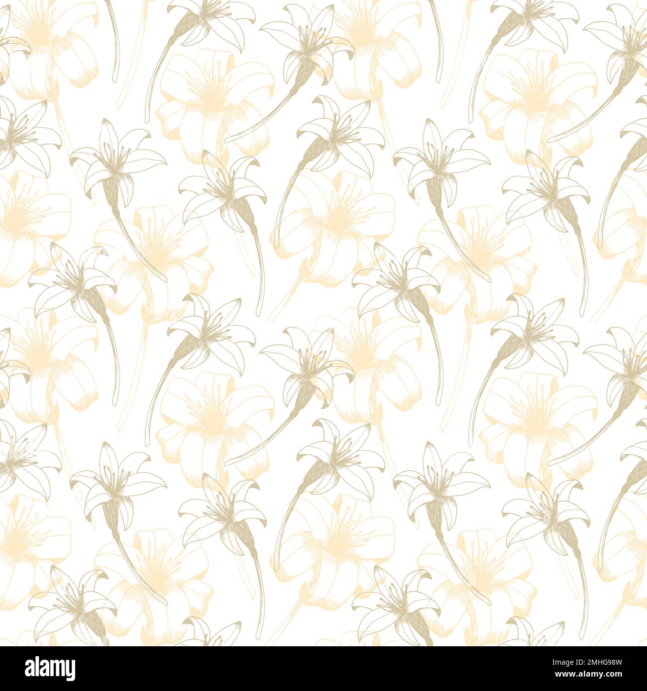 Daylily vector seamless pattern Stock Vector Image & Art - Alamy Daylily vector seamless pattern Stock Vector Image & Art - Alamy