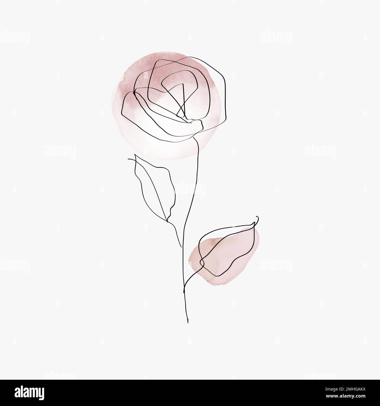 Rose flower vector line art minimal pink pastel illustration Stock ...