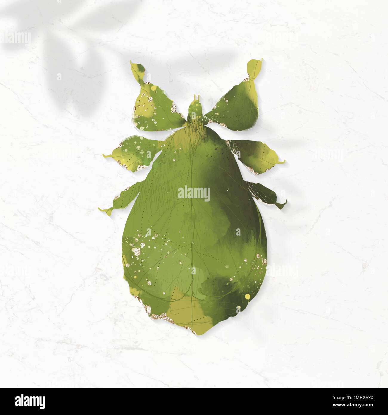 Cute watercolor leaf insect vector Stock Vector Image & Art - Alamy