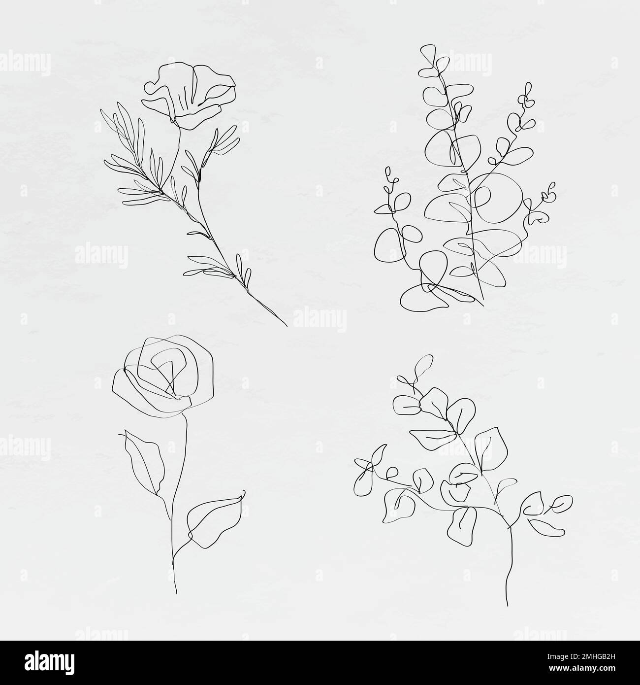 Botanic line art flowers vector minimal abstract drawings collection ...