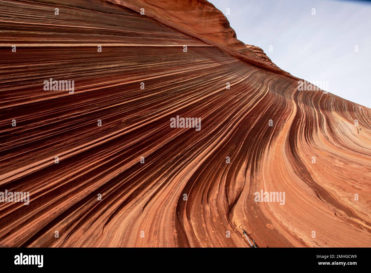 The Wave is a stunning geological formation in the Paria Canyon ...